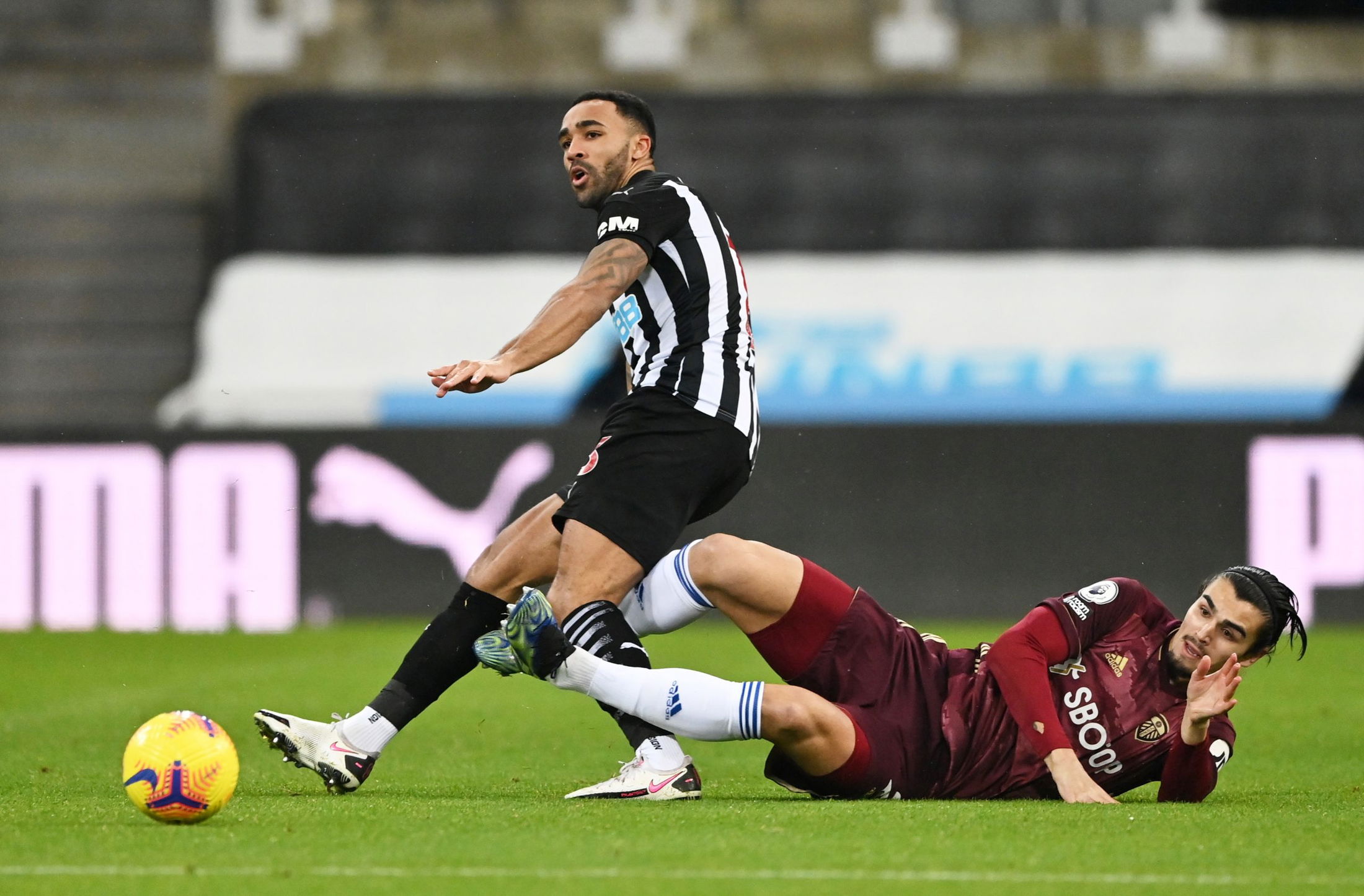 Dom Matteo delivers expertise on impressive Leeds United individual ...