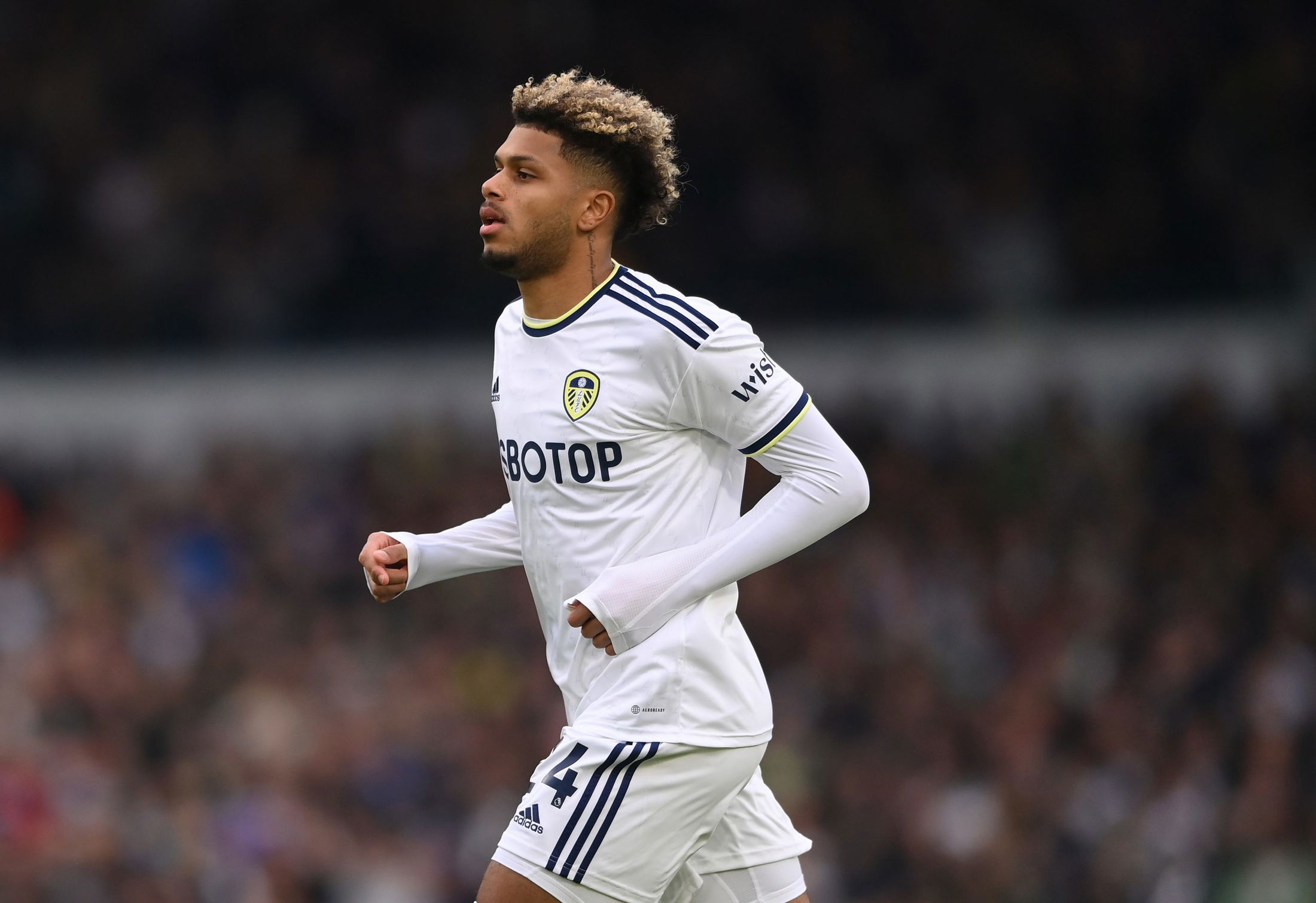 “Now it’s different” - Brighton’s Georginio Rutter shares ruthless ...