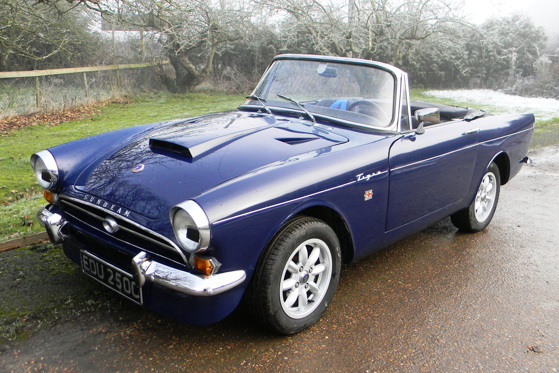 Sunbeam Tiger - Read Cars