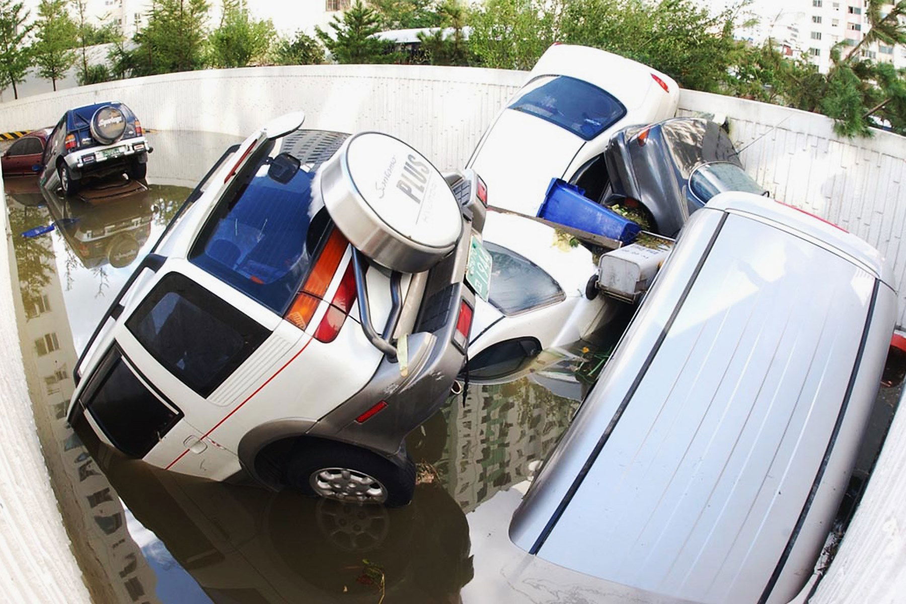 Typhoon Maemi - Read Cars