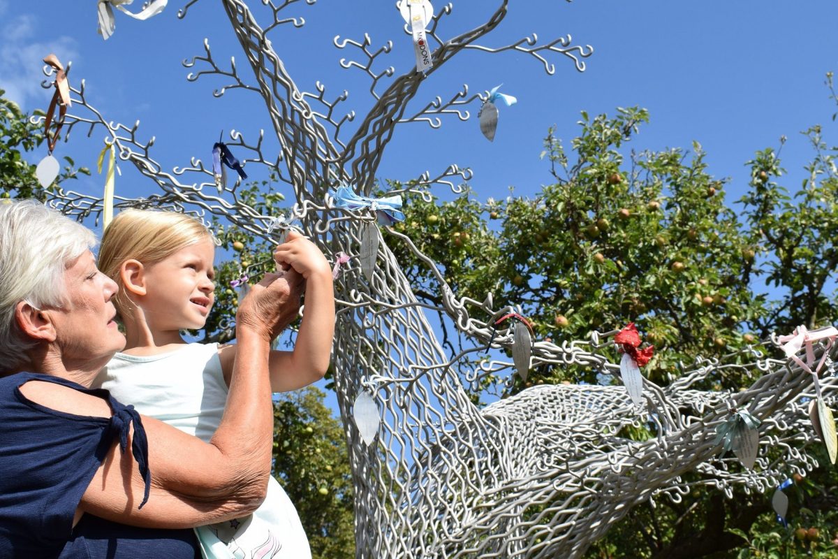 MK businesses help Willen Hospice mark Tree of Life anniversary - CitiBlog