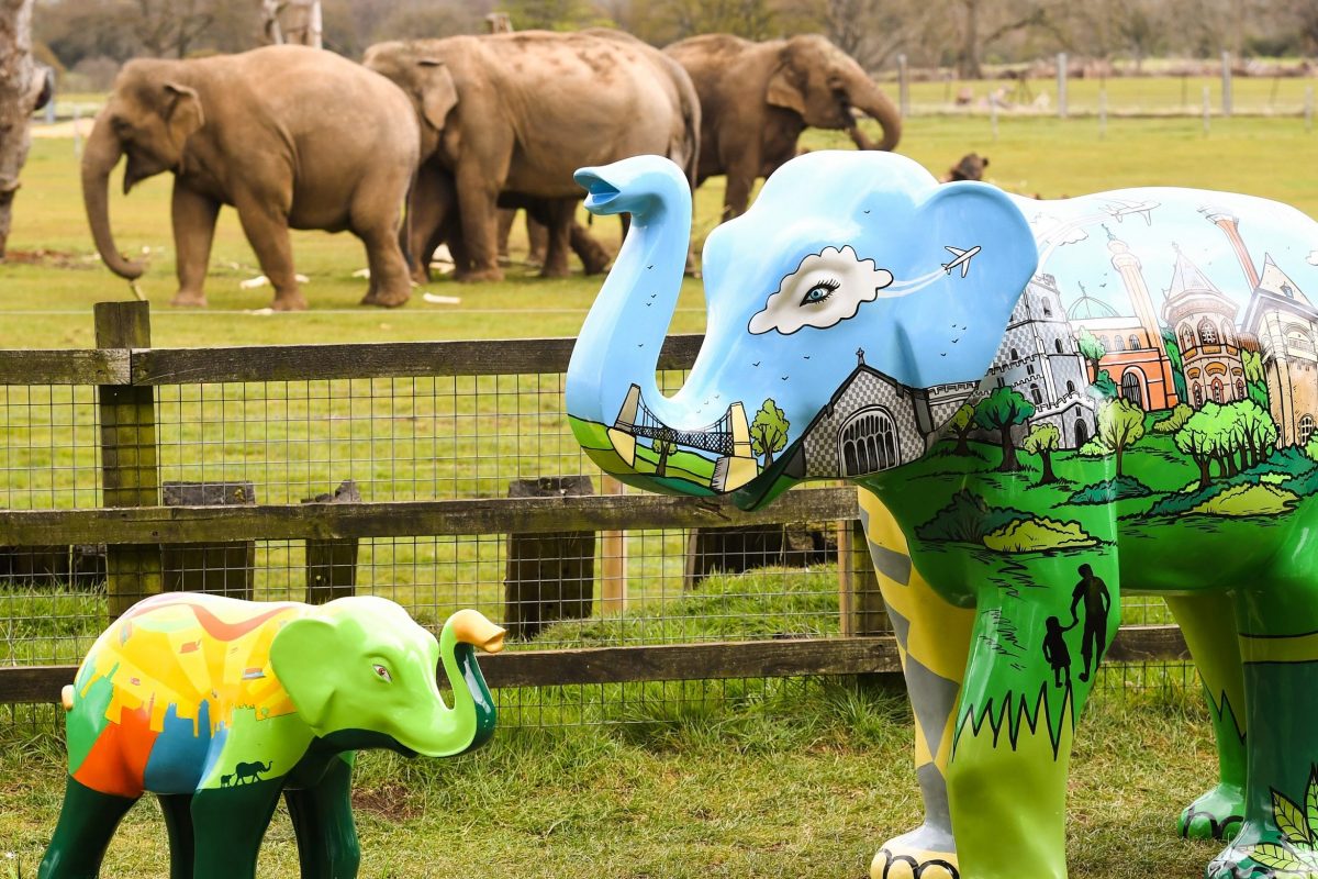 A new herd is in town as Keech Hospice Care elephants trumpet arrival ...